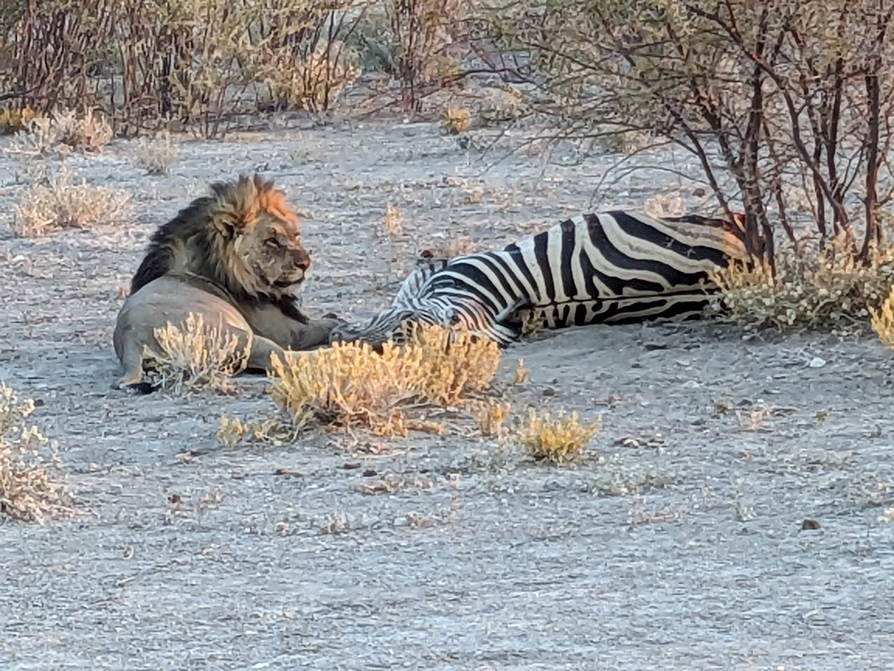 Far from the Madding Crowd in Namibia - Holden Safaris